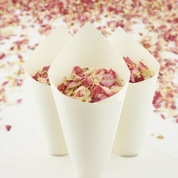 Confetti Cones – The Dried Petal Company